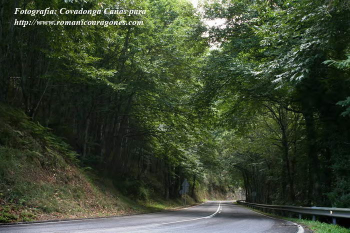 OBONA: MONASTERIO DE SANTA MARÍA.- Covadonga Cañas